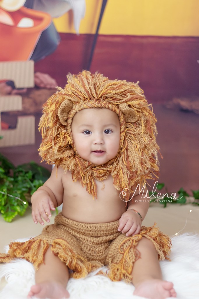Sesión fotográfica temática de El Rey León para el primer cumpleaños de ...